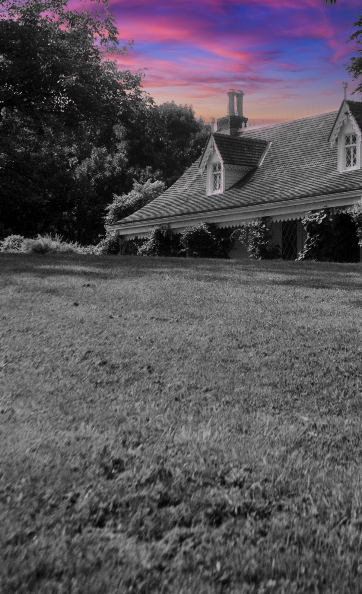 91 year old German made VOIGTLANDER medium format 120 Brillant model ...